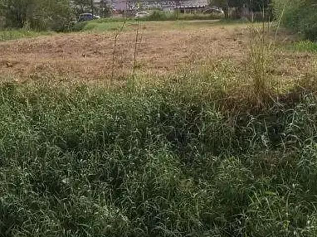 Terreno / Lote para Venda em Caraguatatuba/SP Balneário Califórnia