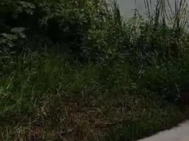 Terreno / Lote para Venda em Caraguatatuba/SP Balneário dos Golfinhos