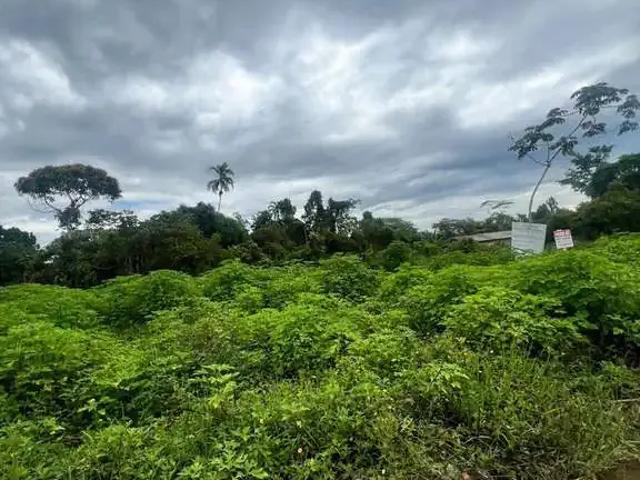 Terreno / Lote para Venda em Caraguatatuba/SP Balneário dos Golfinhos