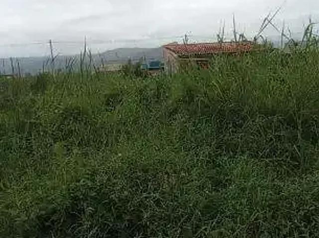 Terreno / Lote para Venda em Caraguatatuba/SP Balneário dos Golfinhos