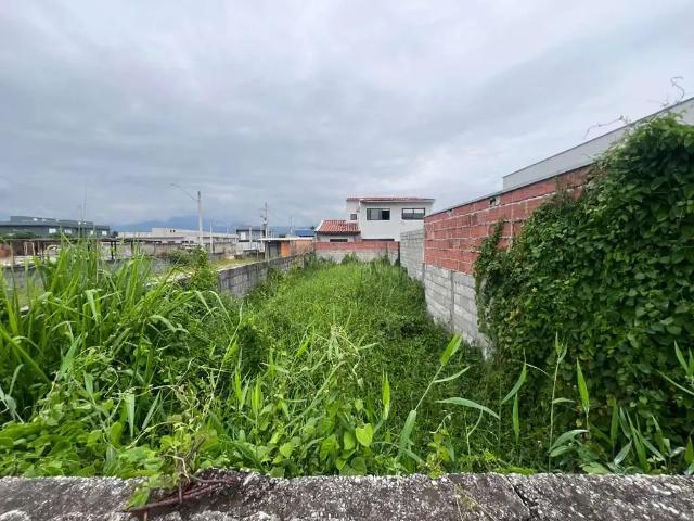 Terreno / Lote para Venda em Caraguatatuba/SP Balneário dos Golfinhos