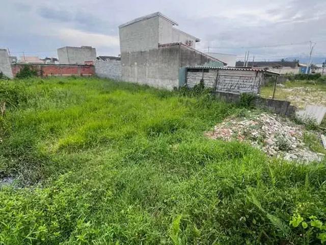 Terreno / Lote para Venda em Caraguatatuba/SP Balneário dos Golfinhos