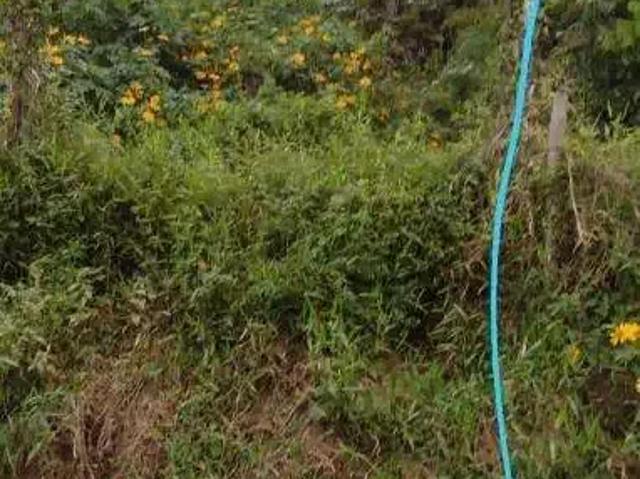 Terreno / Lote para Venda em Caraguatatuba/SP Balneário dos Golfinhos