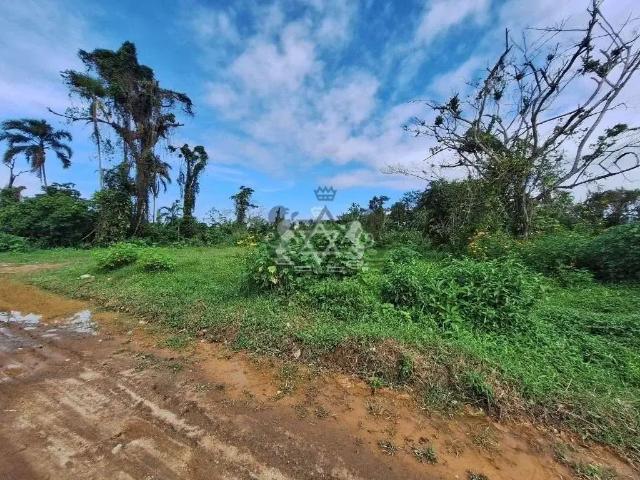 Terreno / Lote para Venda em Caraguatatuba/SP Balneário dos Golfinhos