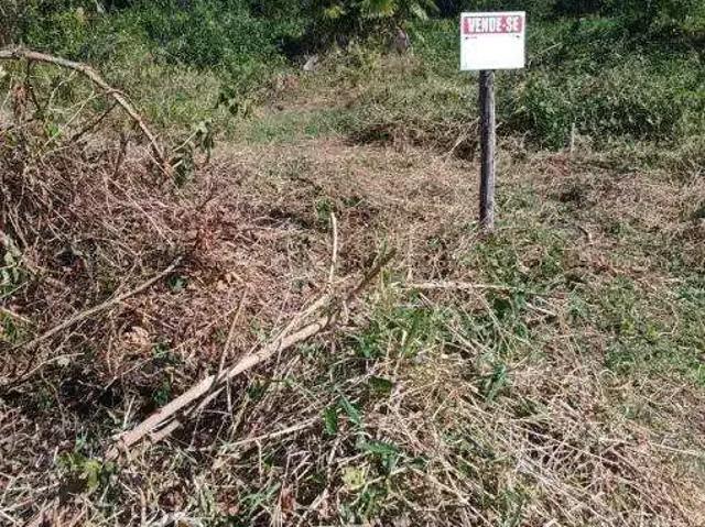 Terreno / Lote para Venda em Caraguatatuba/SP Balneário dos Golfinhos