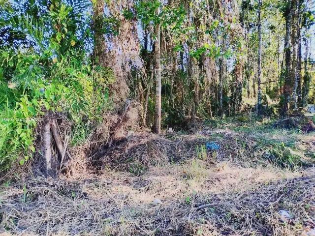 Terreno / Lote para Venda em Caraguatatuba/SP Balneário dos Golfinhos
