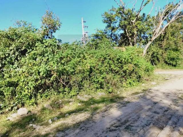 Terreno / Lote para Venda em Caraguatatuba/SP Balneário Recanto do Sol