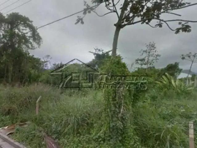 Terreno / Lote para Venda em Caraguatatuba/SP Barranco Alto
