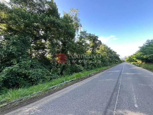 Terreno / Lote para Venda em Caraguatatuba/SP Barranco Alto