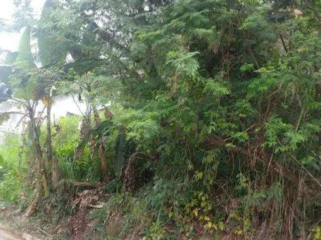 Terreno / Lote para Venda em Caraguatatuba/SP Benfica