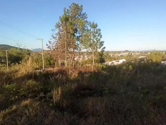 Terreno / Lote para Venda em Caraguatatuba/SP Getuba