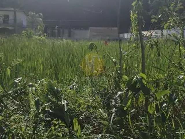 Terreno / Lote para Venda em Caraguatatuba/SP Martim de Sá