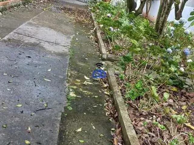 Terreno / Lote para Venda em Caraguatatuba/SP Jardim Arua