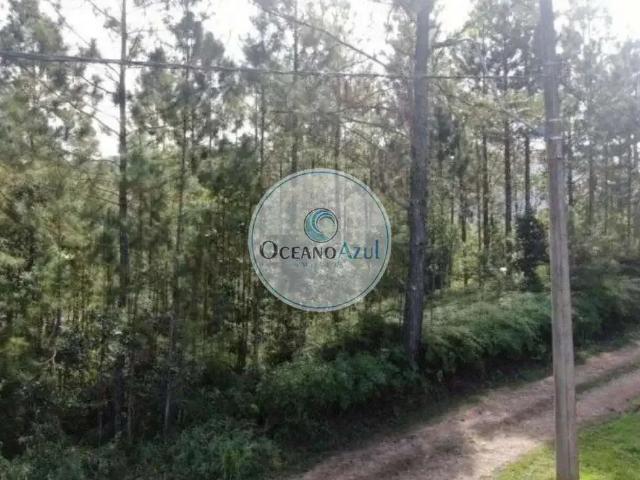 Terreno / Lote para Venda em Caraguatatuba/SP Jardim Capricórnio