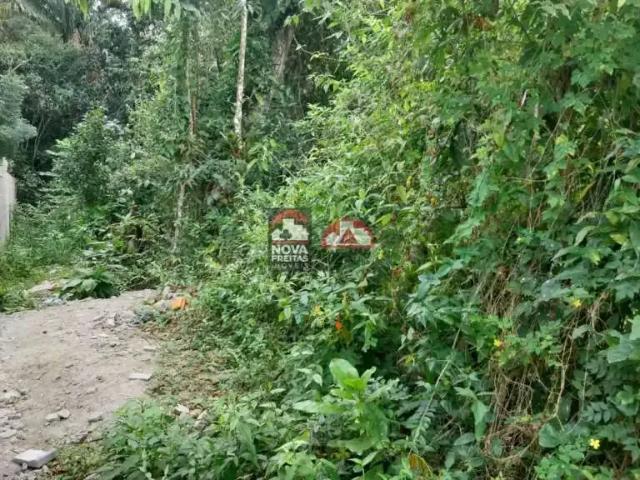 Terreno / Lote para Venda em Caraguatatuba/SP Jardim das Gaivotas