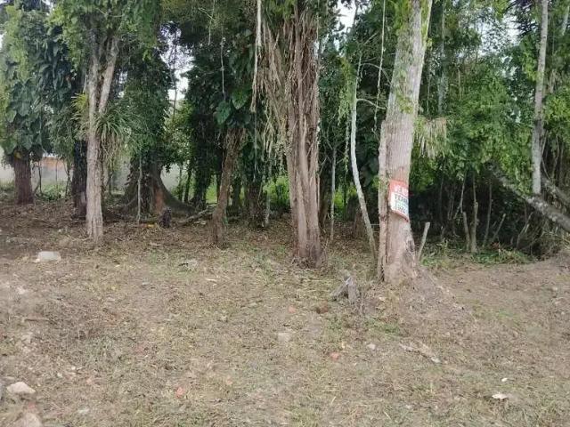 Terreno / Lote para Venda em Caraguatatuba/SP Jardim das Gaivotas