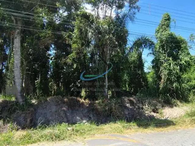 Terreno / Lote para Venda em Caraguatatuba/SP Jardim das Gaivotas