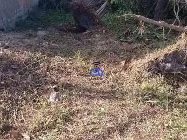 Terreno / Lote para Venda em Caraguatatuba/SP Jardim das Gaivotas