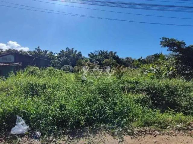 Terreno / Lote para Venda em Caraguatatuba/SP Jardim Santa Rosa