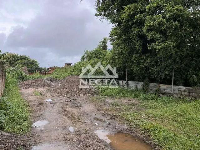 Terreno / Lote para Venda em Caraguatatuba/SP Loteamento Altamir Tibiriça Pimenta