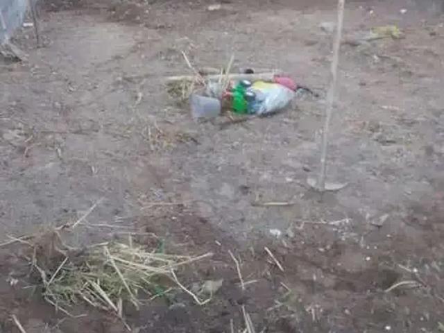 Terreno / Lote para Venda em Caraguatatuba/SP Morro do Algodão
