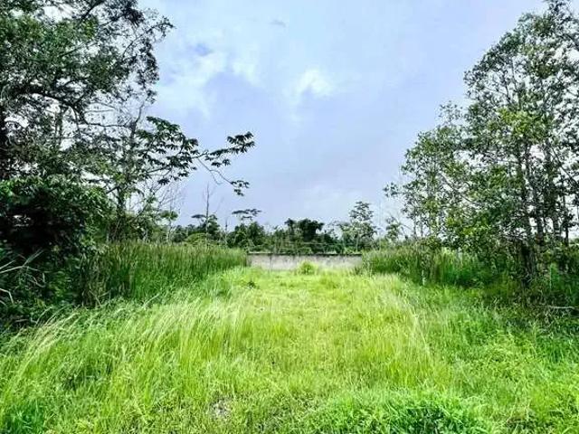 Terreno / Lote para Venda em Caraguatatuba/SP Morro do Algodão