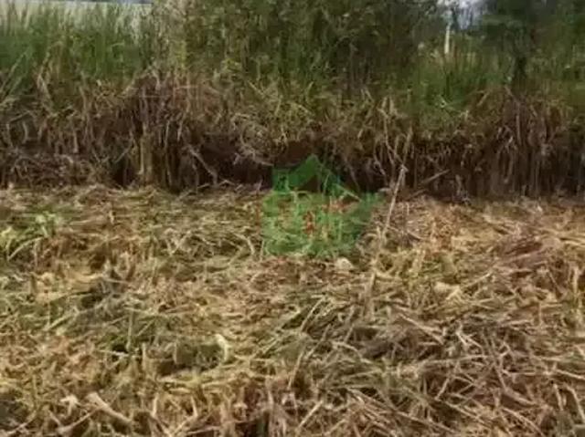 Terreno / Lote para Venda em Caraguatatuba/SP Morro do Algodão