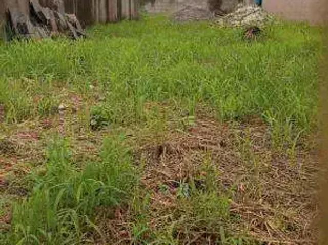 Terreno / Lote para Venda em Caraguatatuba/SP Morro do Algodão