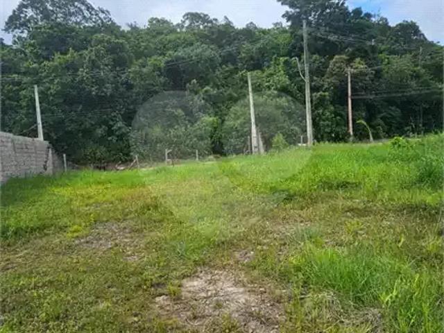 Terreno / Lote para Venda em Caraguatatuba/SP Morro do Algodão