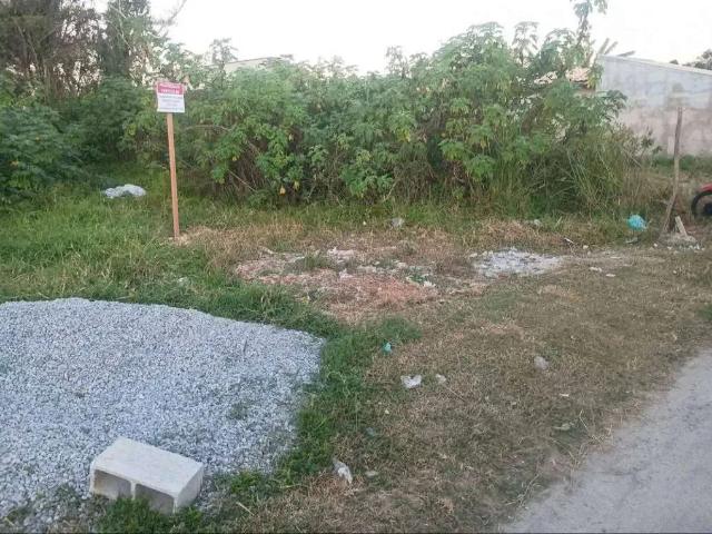 Terreno / Lote para Venda em Caraguatatuba/SP Morro do Algodão