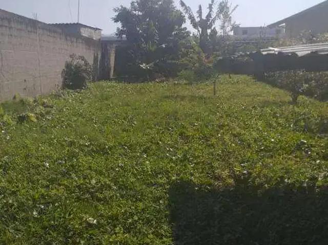 Terreno / Lote para Venda em Caraguatatuba/SP Morro do Algodão