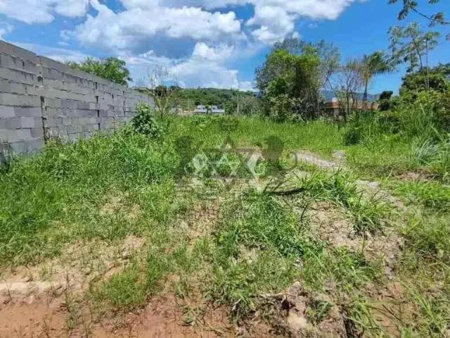 Terreno / Lote para Venda em Caraguatatuba/SP Morro do Algodão