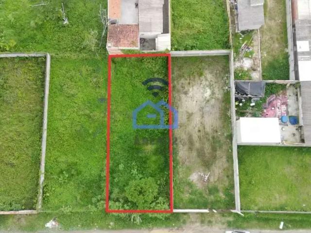Terreno / Lote para Venda em Caraguatatuba/SP Morro do Algodão