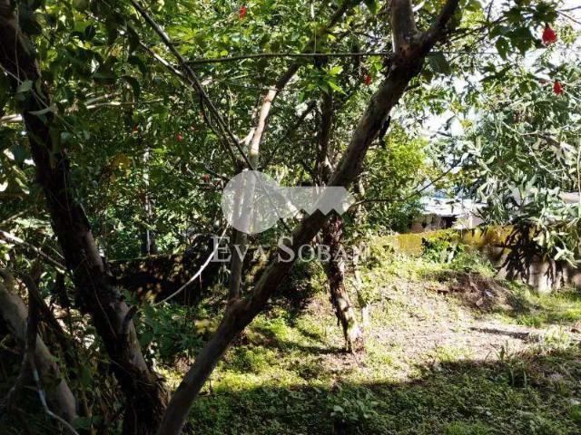Terreno / Lote para Venda em Caraguatatuba/SP Martim de Sá