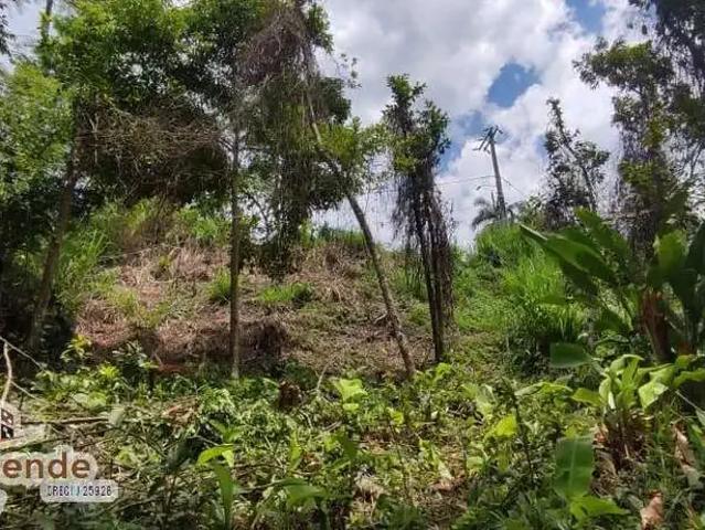 Terreno / Lote para Venda em Caraguatatuba/SP Massaguaçu