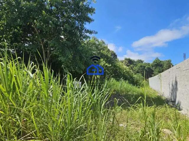 Terreno / Lote para Venda em Caraguatatuba/SP Massaguaçu