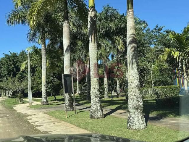 Terreno / Lote para Venda em Caraguatatuba/SP Massaguaçu