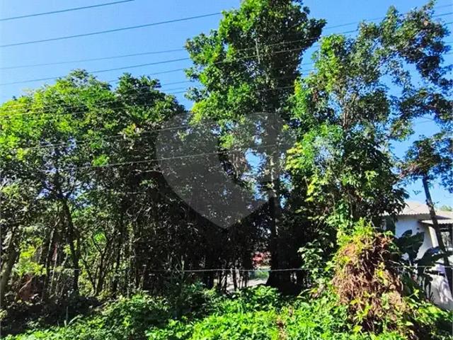 Terreno / Lote para Venda em Caraguatatuba/SP Massaguaçu