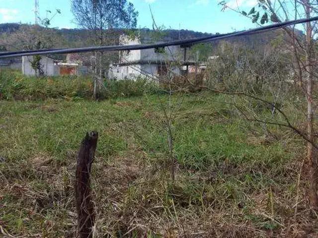 Terreno / Lote para Venda em Caraguatatuba/SP Massaguaçu