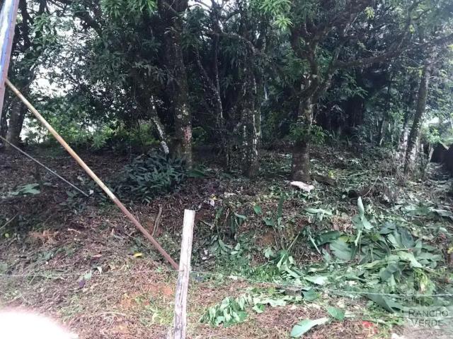 Terreno / Lote para Venda em Caraguatatuba/SP Massaguaçu
