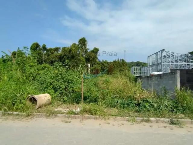 Terreno / Lote para Venda em Caraguatatuba/SP Massaguaçu