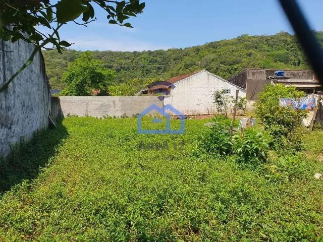 Terreno / Lote para Venda em Caraguatatuba/SP Massaguaçu