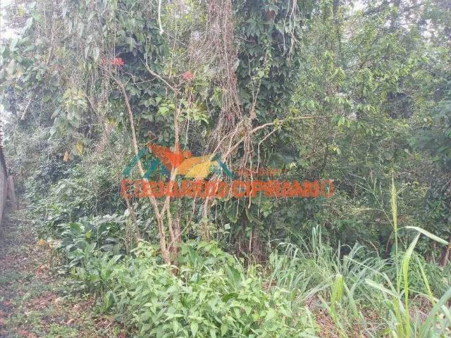 Terreno / Lote para Venda em Caraguatatuba/SP Massaguaçu