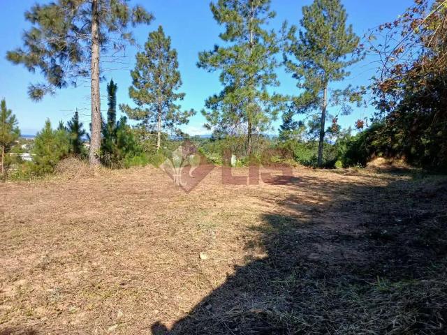 Terreno / Lote para Venda em Caraguatatuba/SP Massaguaçu