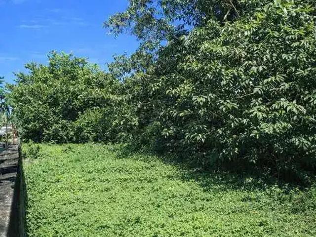Terreno / Lote para Venda em Caraguatatuba/SP Massaguaçu