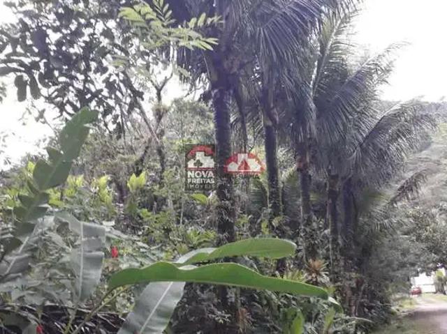 Terreno / Lote para Venda em Caraguatatuba/SP Massaguaçu