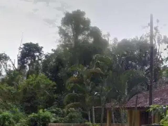 Terreno / Lote para Venda em Caraguatatuba/SP Massaguaçu