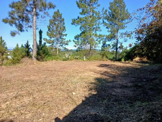 Terreno / Lote para Venda em Caraguatatuba/SP Massaguaçu