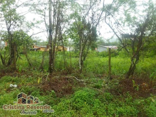 Terreno / Lote para Venda em Caraguatatuba/SP Massaguaçu