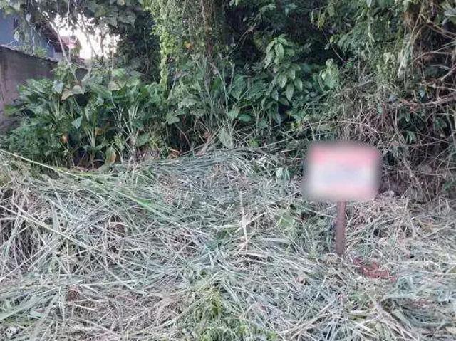 Terreno / Lote para Venda em Caraguatatuba/SP Massaguaçu